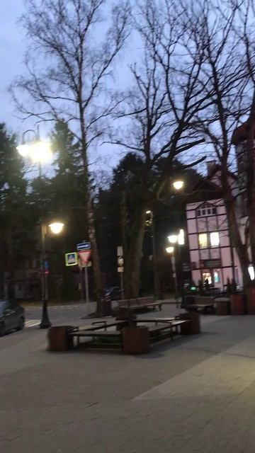 Светлогорск в зимних  сумерках шорт