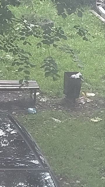 №2273	Двор П. Осипенко 48. 1 июля 2026 г., 10:49:58 VID_20260701_104945068