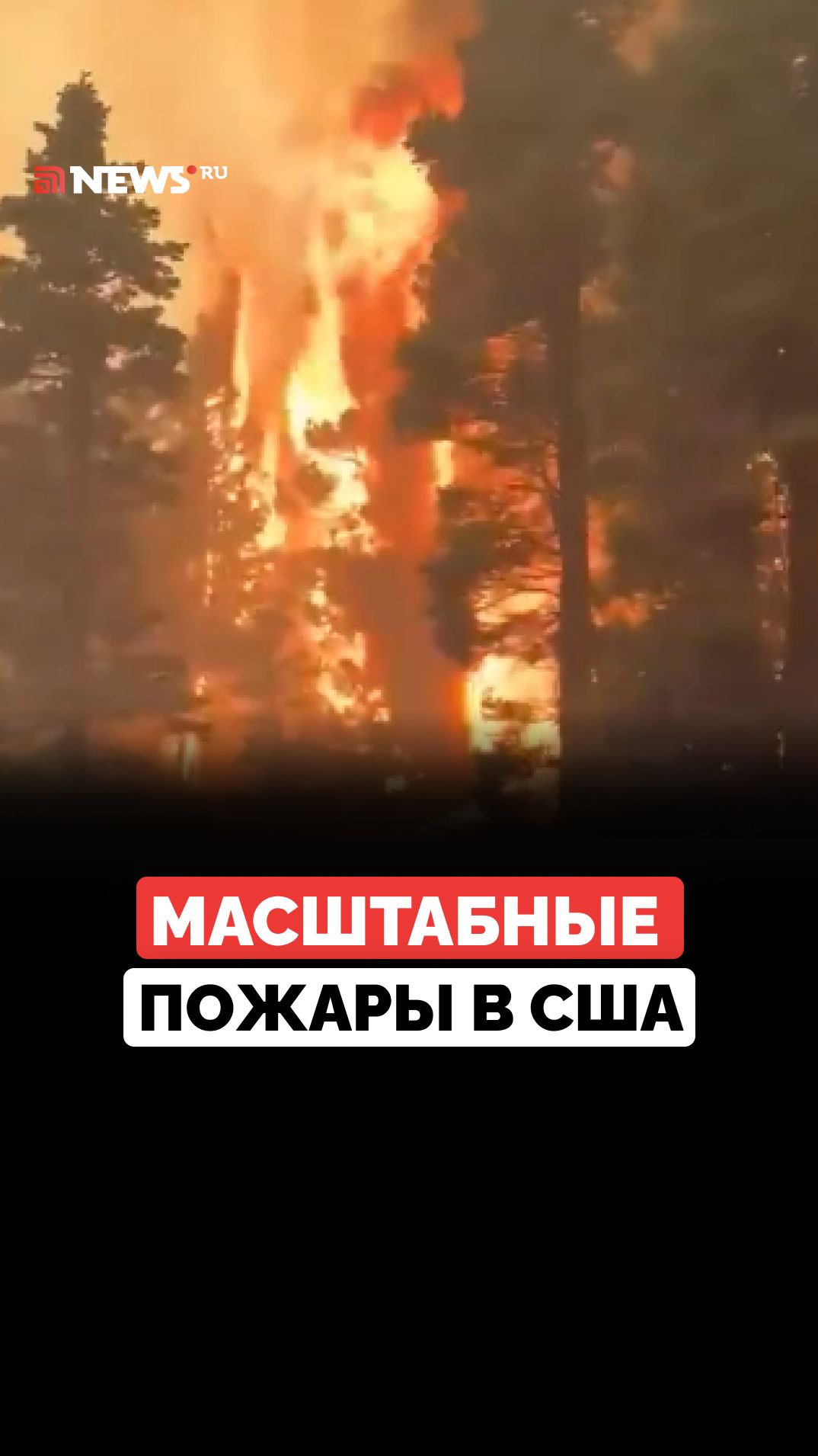 Ад в Колорадо: огонь уничтожает дома и уносит жизни пожарных