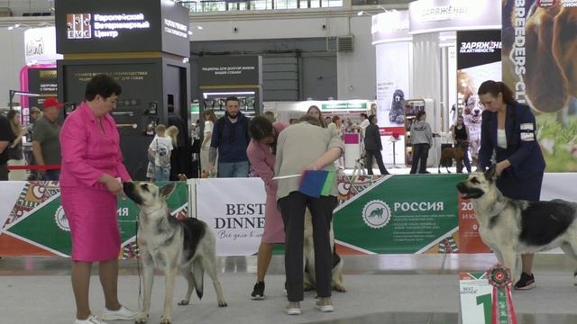 Класс чемпионов
