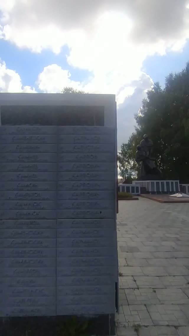 Мемориал памяти сибиряков-фронтовиков, г. Топки, Кемеровская область  Фрагмент 16