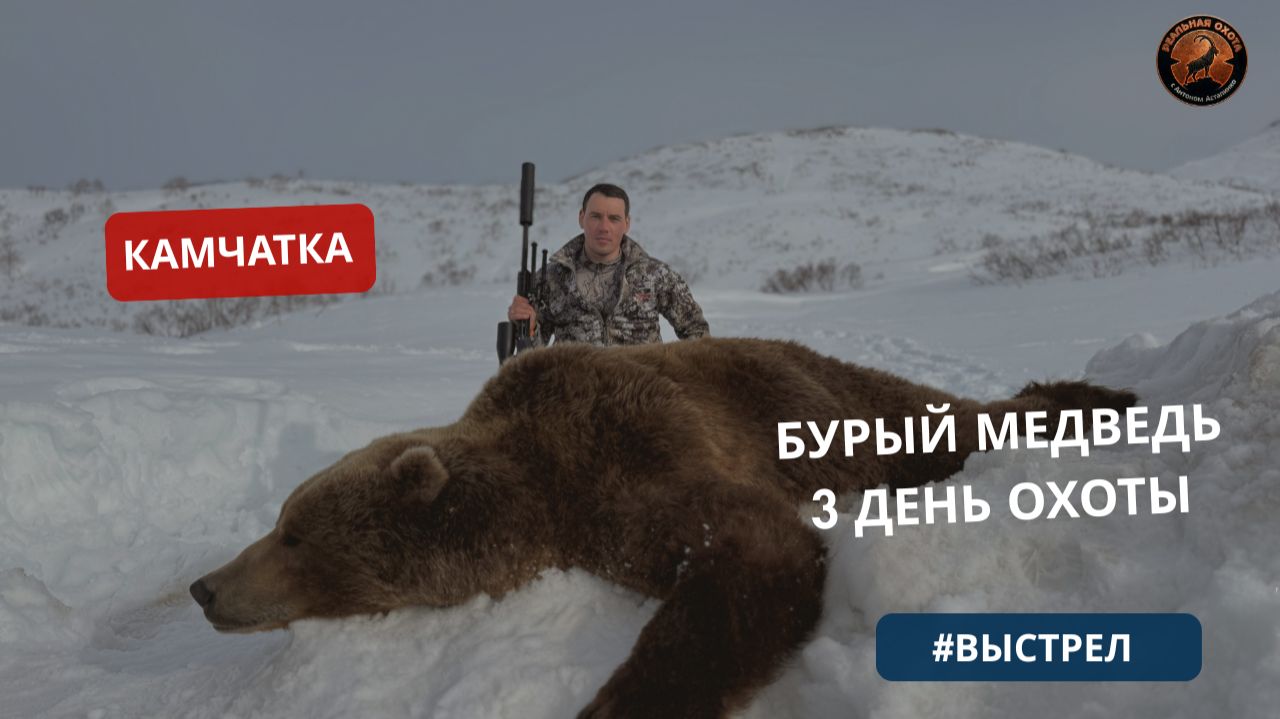 МЕДВЕДЬ