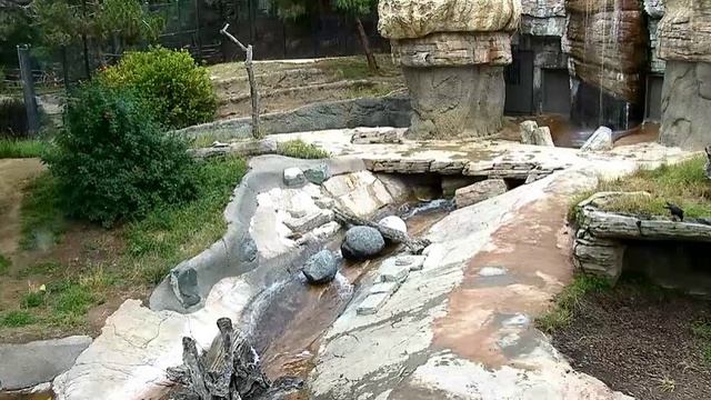 Парк Белых Медведей 01 128 66