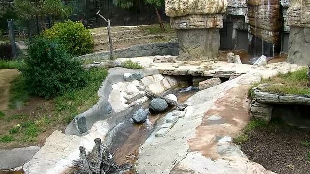 Парк Белых Медведей 01 128 78