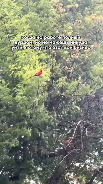 Когда у тебя свой бизнес, держишься, как можешь.😂
