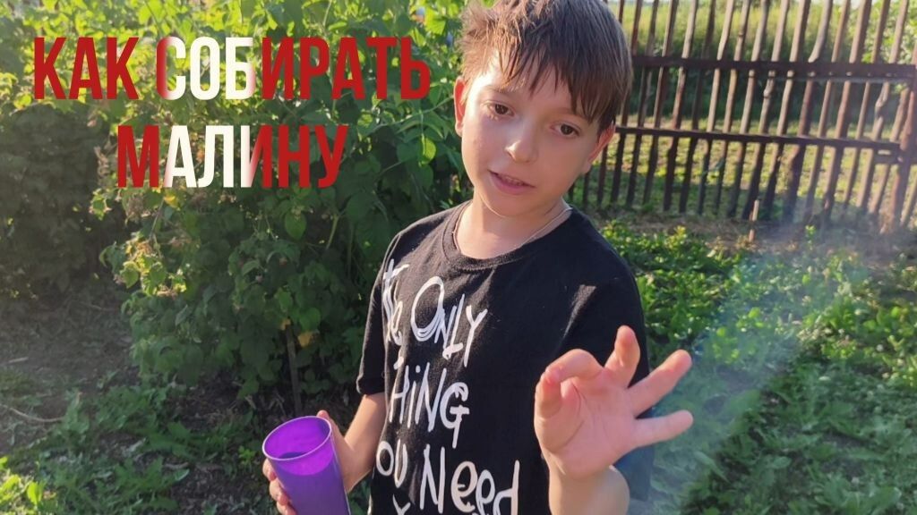 БИЗНЕС ПЛАН 📈 ПО СБОРУ МАЛИНЫ 🍓 🥰☝️