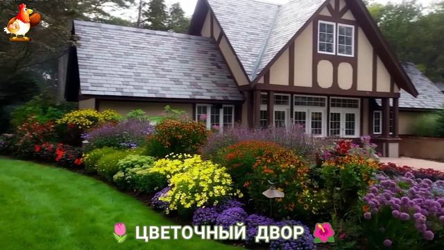 Цветы на участке и во дворе как красиво посадить фото идеи для вдохновения (296)
