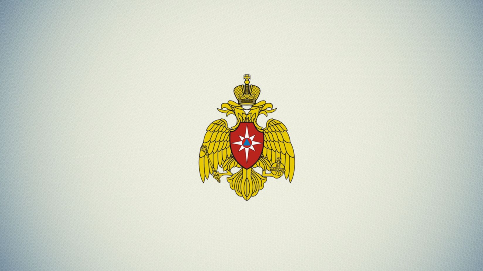 Разборка и сборка, чистка и сушка ДАСВ АП Омега