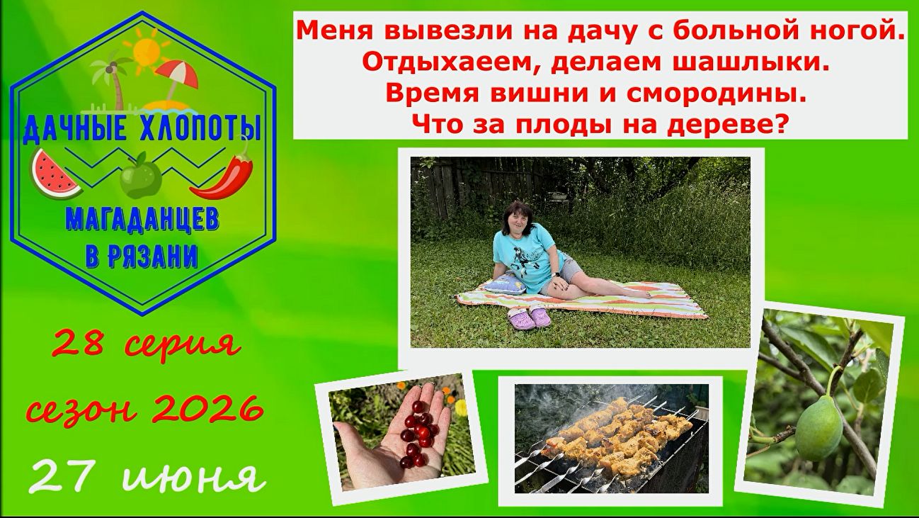Вывезли на дачу с больной ногой. Отдыхаем. Шашлыки. Время вишни и смородины. Что за плоды на дереве?