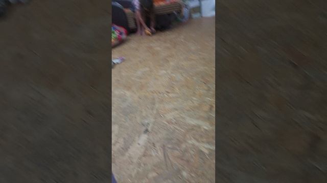 Управление транспортом