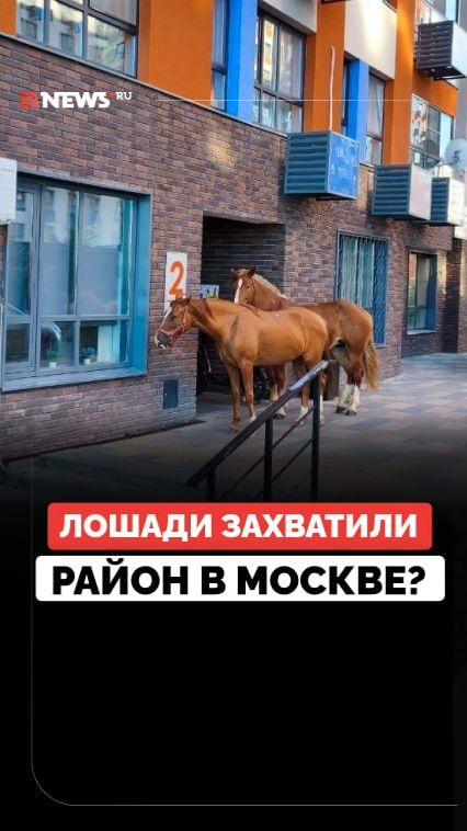 Истории и новости коротко