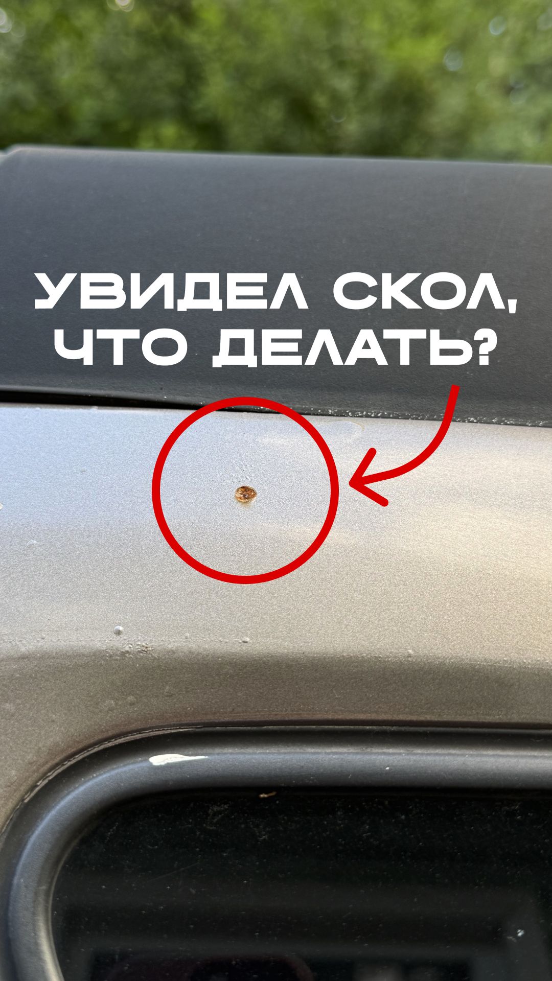 Интервью
