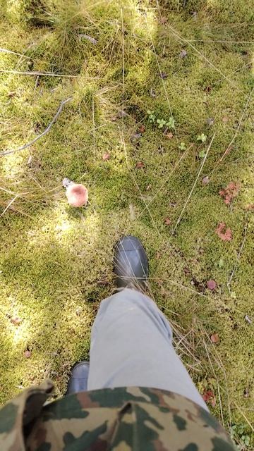On the Moss ©20250909