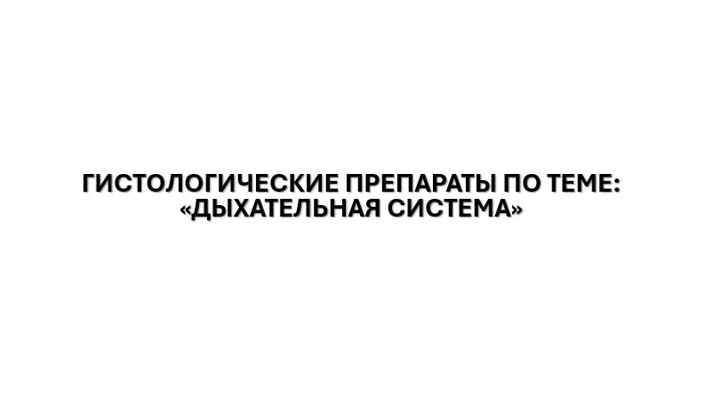ДЫХАТЕЛЬНАЯ СИСТЕМА
