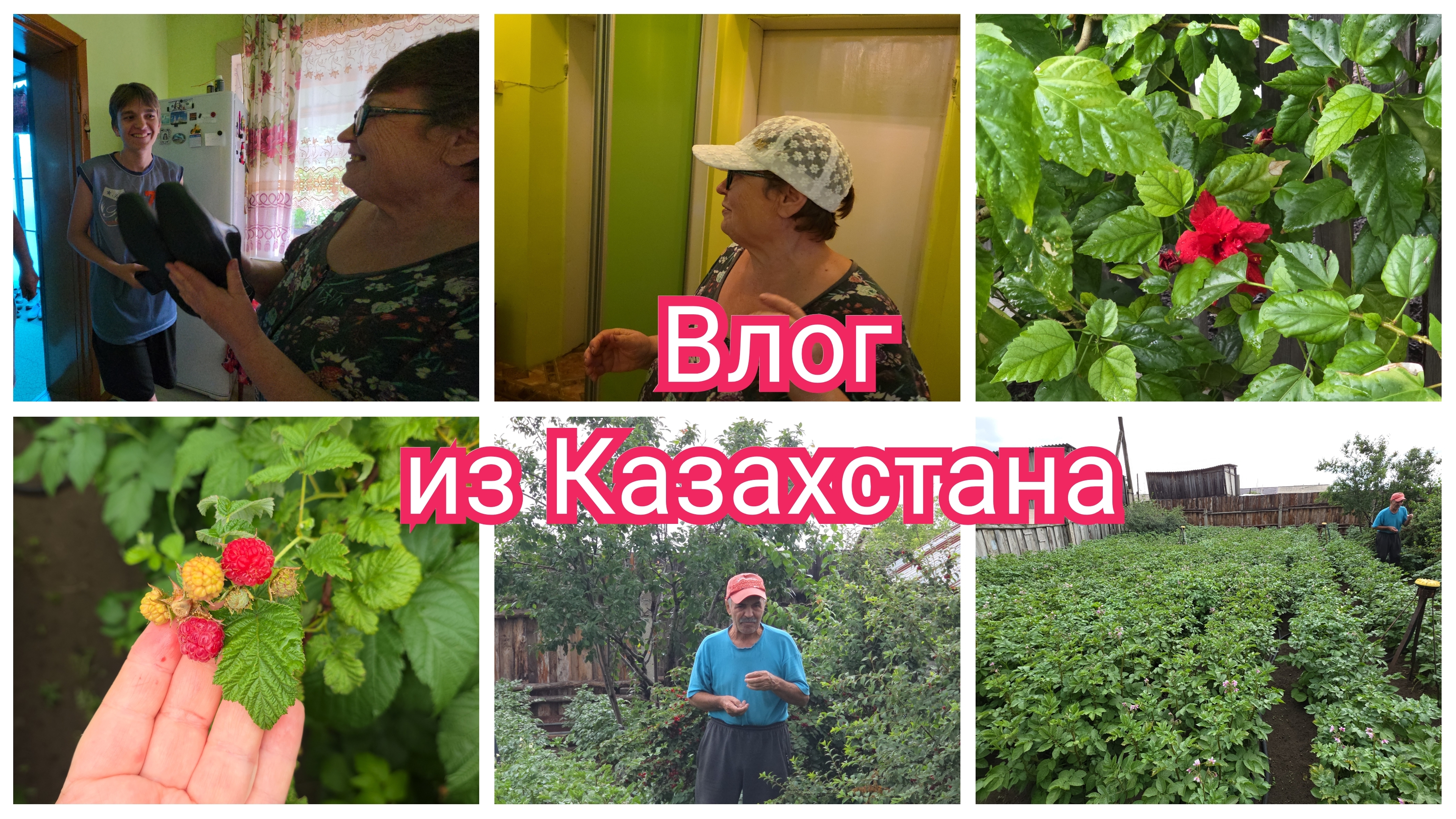 Разбираем ПОДАРКИ. С проверкой в ОГОРОД. Влог из Казахстана