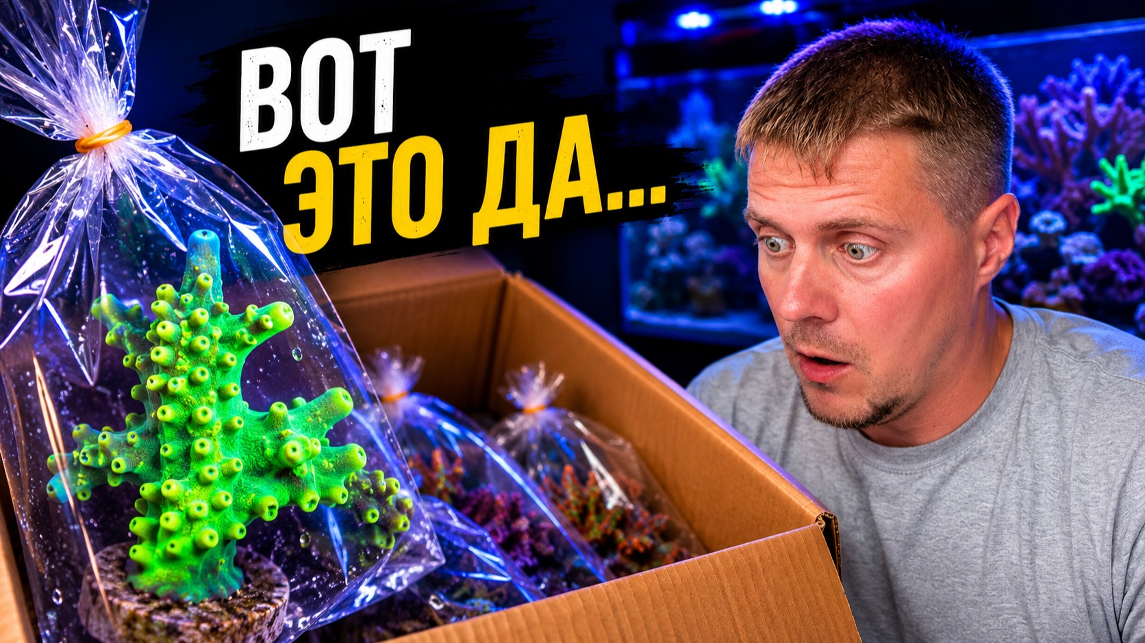 Обзоры