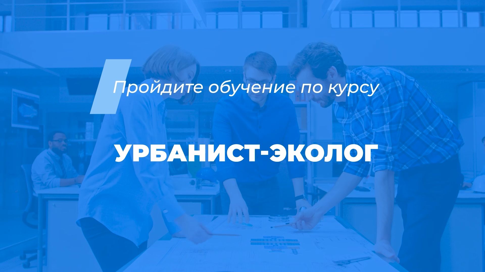 Другие курсы