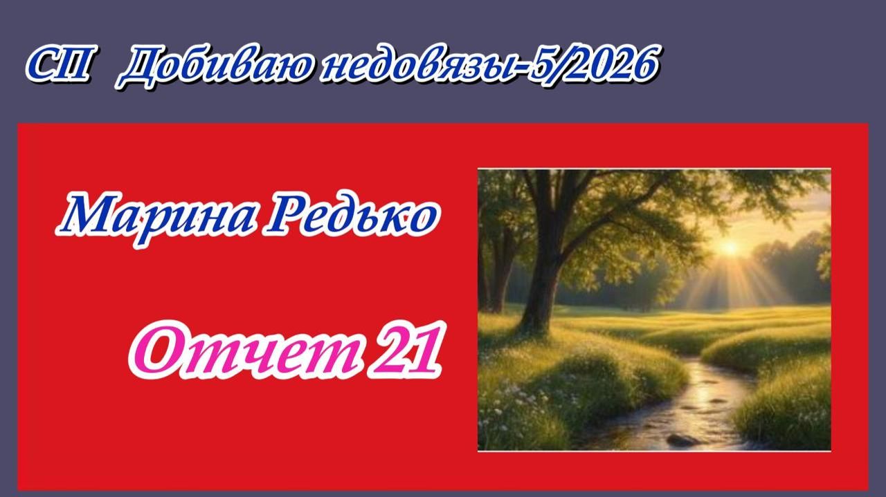 СП "Добиваю недовязы-5/2026" / Отчет 21