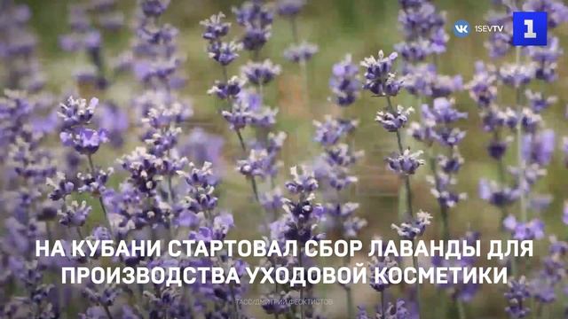 Без комментариев