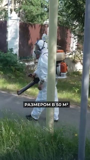 📍Масштабная обработка Салехарда: когда комары наконец оставят горожан в покое #новости #ямал