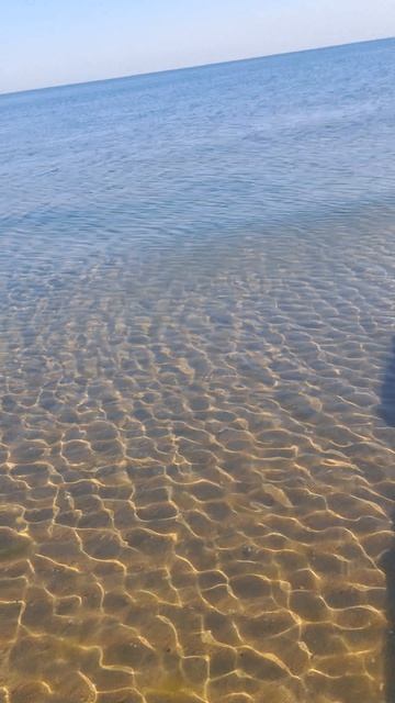 Через зелёную Тину в чистое Анапское море.Мой мах канал 👇 в комментариях