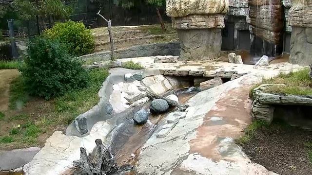 Парк Белых Медведей 01 128 70
