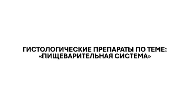 ПИЩЕВАРИТЕЛЬНАЯ СИСТЕМА