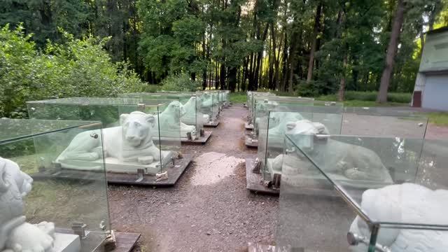 Архангельское_Львиный прайд)_23-06-2026