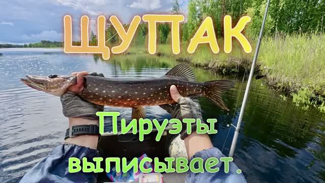 ШОЛТИНЬЯРВИ ставлю рогатки и подкидухи. День первый. #рыбалка #fishing