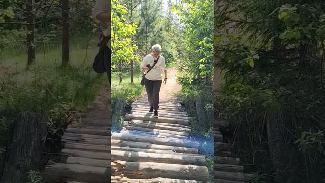Сеансы гипноза и медитации для прослушивания