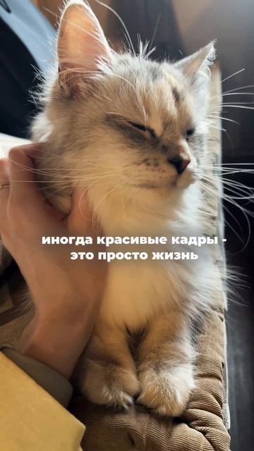 Узнали город? На канале делюсь маршрутом сюда
