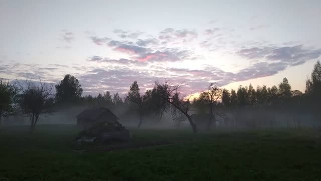 Предрассветный туман. Смотреть до конца