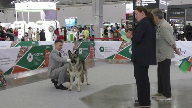 Класс ветеранов