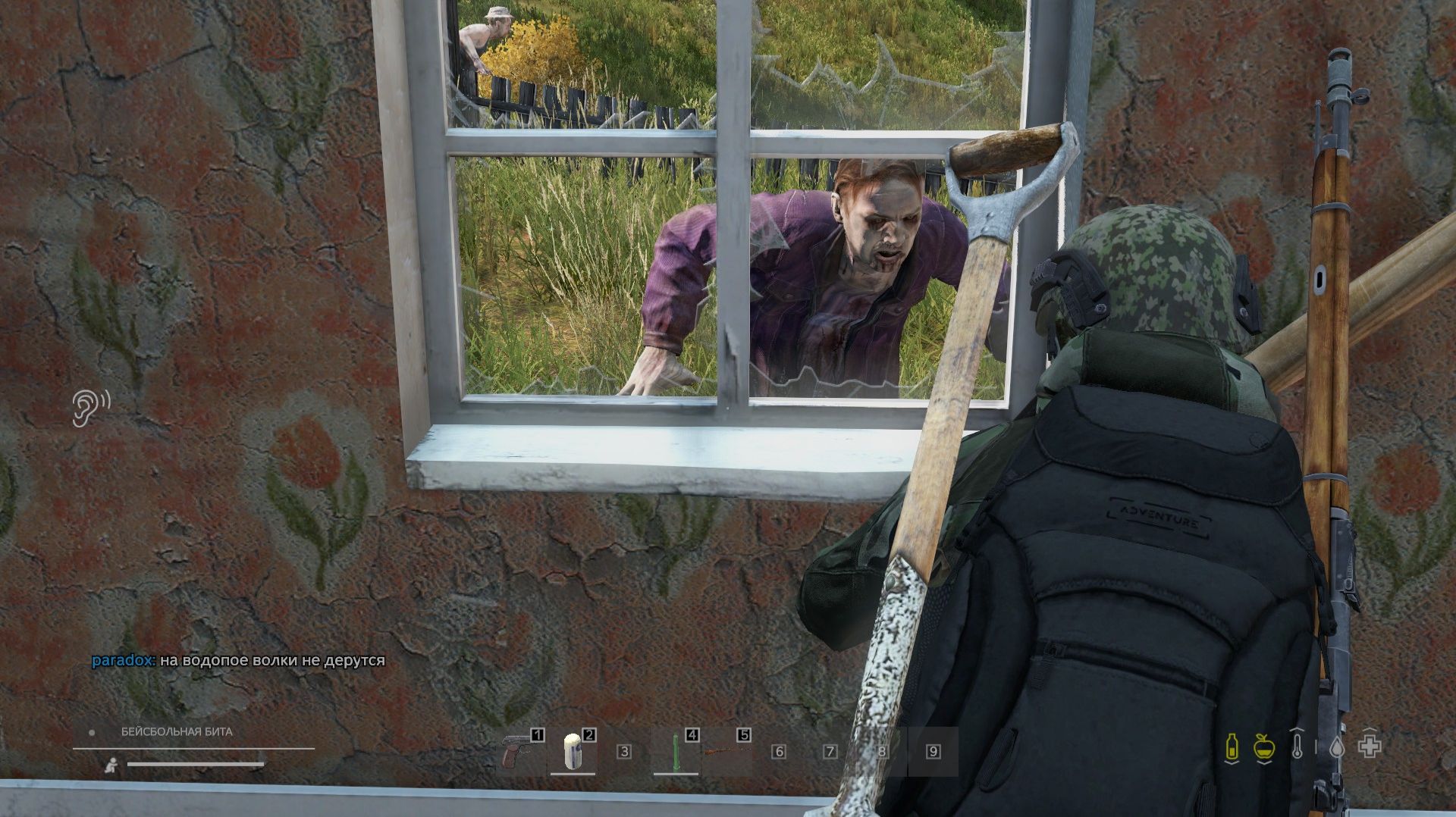 DayZ