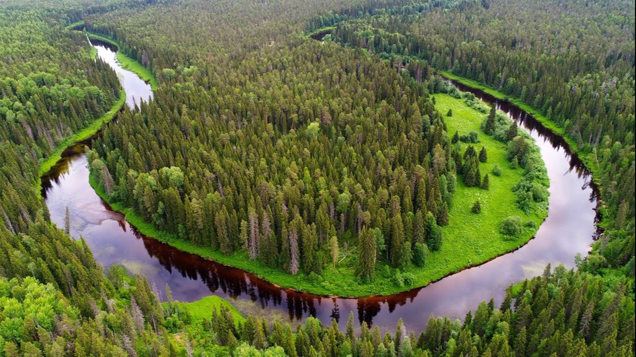 РОЛИК ОТ МАРИНЫ...