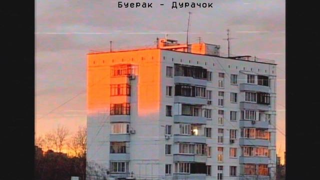 Буерак - дурачок