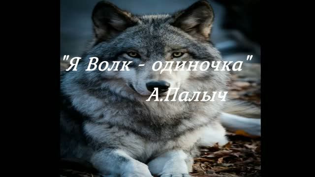 "Я Волк-Одиночка" А. Палыч