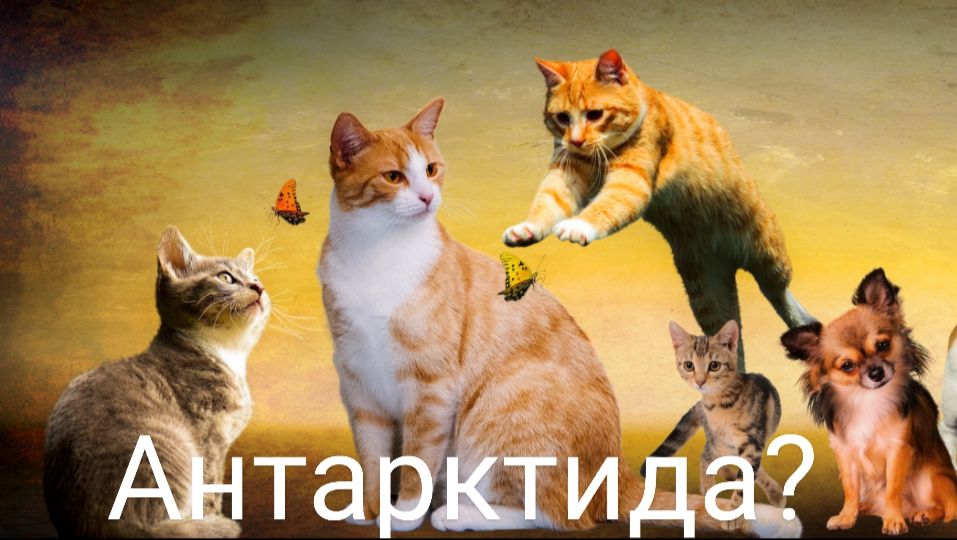 Лучшее семейное кино и мультфильмы
