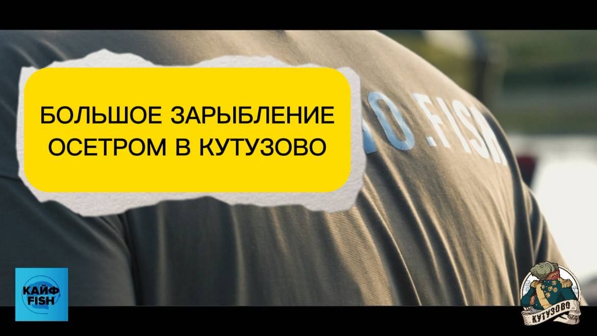 СОБРАЛ ТРИ УДОЧКИ! НА ЧТО КЛЮНУЛ ОСЁТР? БОЛЬШОЕ ЗАРЫБЛЕНИЕ ОСЕТРА