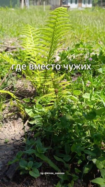 Путешествия