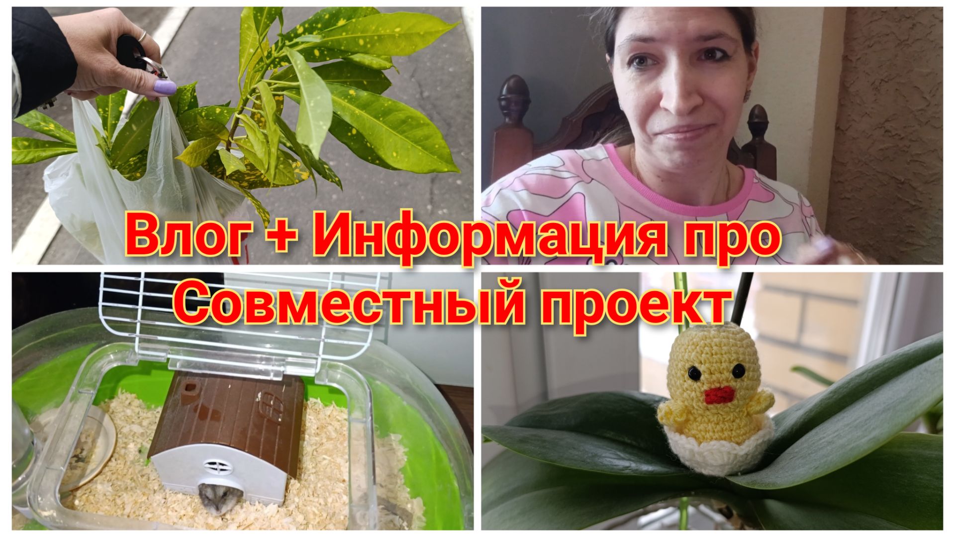 Vlog ,Распаковка - Посылок и Заказов.