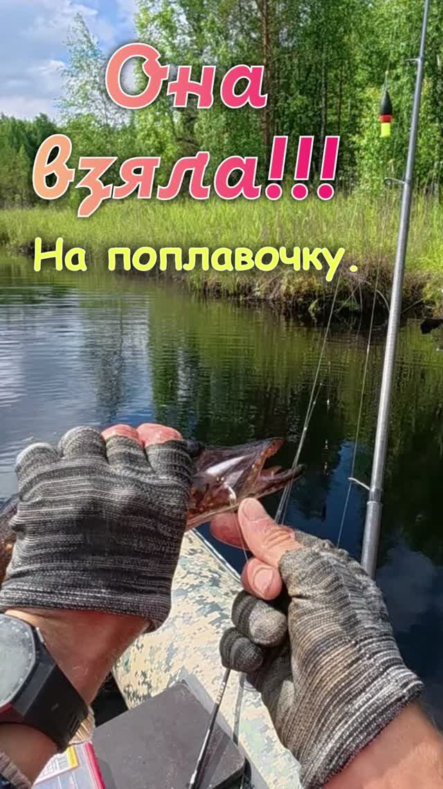 Килограмм еле вытащил. #fishing #рыбалка