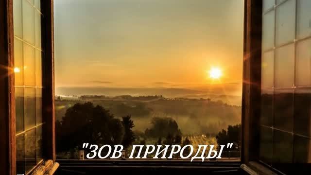 "Зов природы" А. Палыч