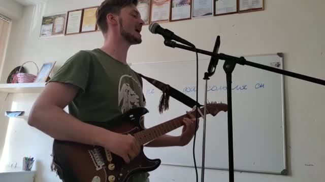 Слава Скрипка - Бобр (Guitar cover)