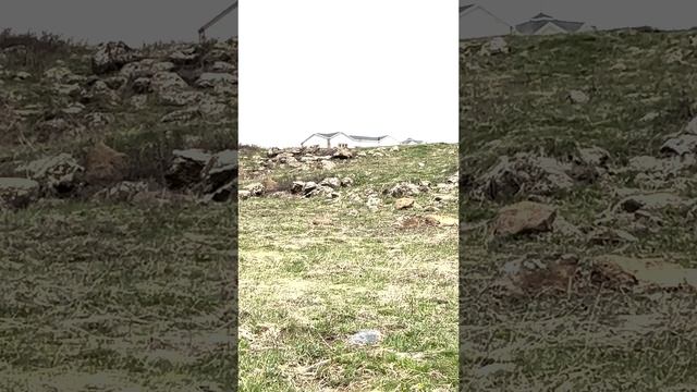 Гюмри́ — город на северо-западе Армении,  водохранилище  парки