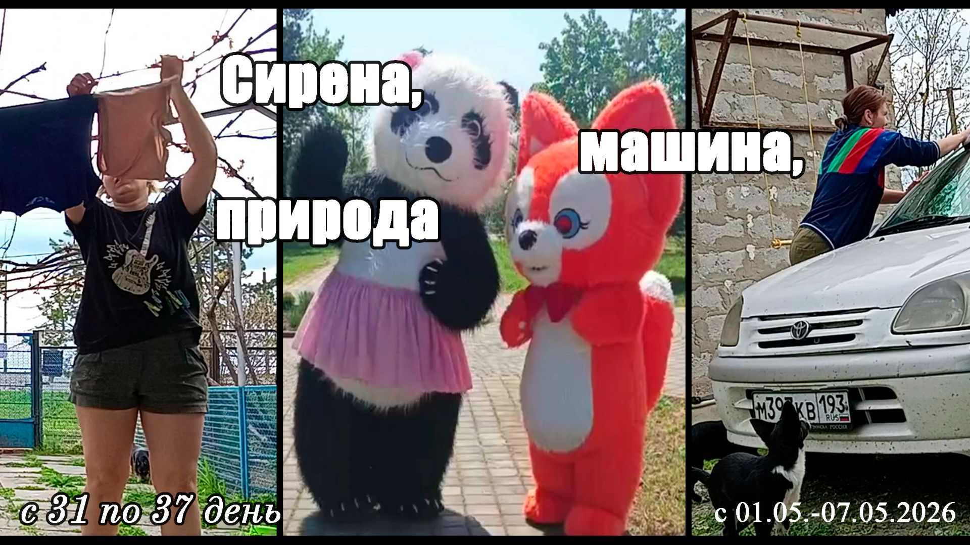 Ежедневный влог /природа /сирена