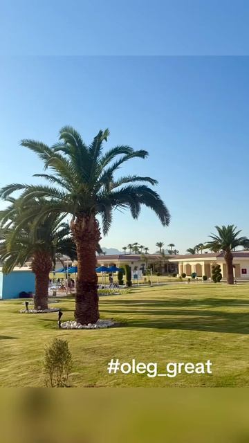 Отдых в Шарм-эль-Шейхе: впечатления от отеля в курортной зоне