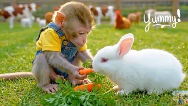 Жизнь маленькой обезьянки🌹52часть😷😭друзья на день рождение?
