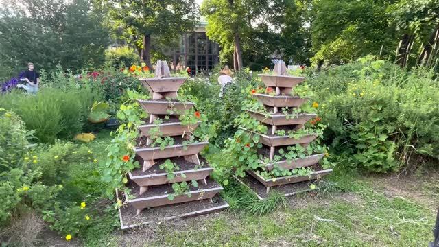 Царицыно_Рядом с Оранжереей_28-06-2026
