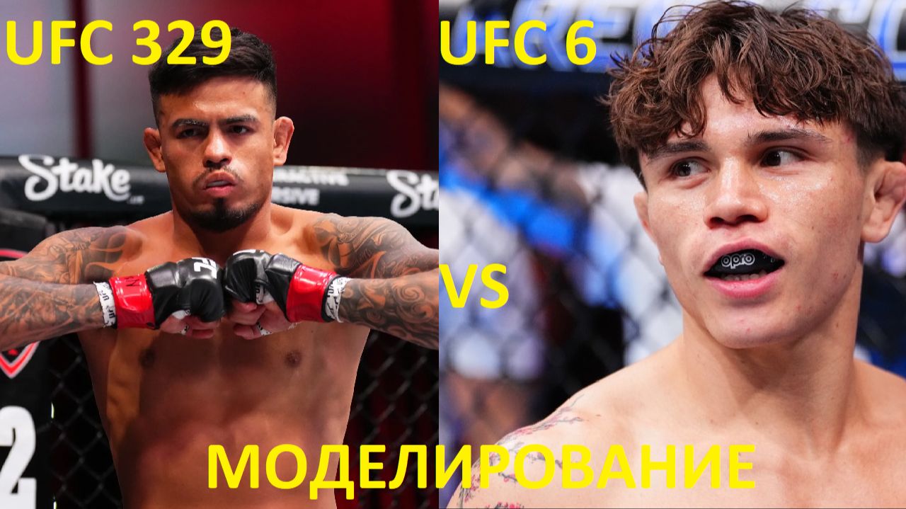 Моделирования поединков MMA